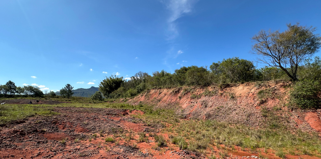 Menor que uma unha: UFSM identifica nova espécie fóssil com crânio ...